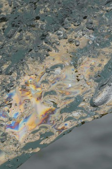 ‎dandarandan (2022) directed by Eduardo Makoszay Mayén, Alice Pontiggia ...