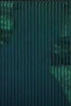 ‎Murmur (1999) directed by Orphan Drift • Film + cast • Letterboxd