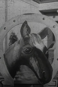 ‎Das Stacheltier - Ein Pferd müßte man haben (1961) directed by Heinz ...