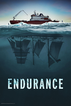 ‎Endurance (2024) directed by Natalie Hewit, Elizabeth Chai Vasarhelyi ...
