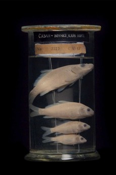 ‎Aralkum (2022) directed by Daniel Asadi Faezi, Mila Zhluktenko ...