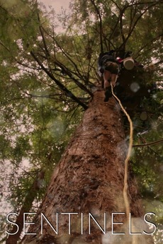 ‎Sentinels (2022) directed by Lawrence Lerew, Derek Knowles • Reviews ...