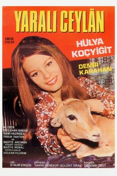 ‎Yaralı Ceylan (1970) directed by Nuri Ergün • Film + cast • Letterboxd