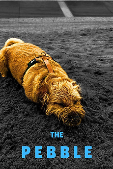 ‎The Pebble (2022) • Reviews, film + cast • Letterboxd