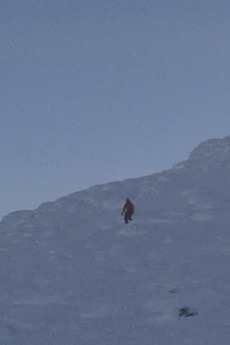 ‎The Observers (2012) directed by Jacqueline Goss • Reviews, film ...