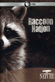 ‎Raccoon Nation • Film + cast • Letterboxd