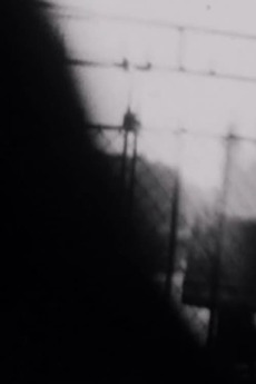 ‎Double Shutter (1972) directed by Mattijn Seip • Film + cast • Letterboxd