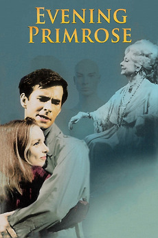 ‎Evening Primrose (1966) directed by Paul Bogart • Reviews, film + cast ...