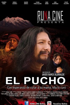 ‎El Pucho (2017) directed by Javier Ramos Alurrade • Reviews, film ...