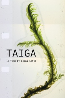 ‎Taiga (2021) directed by Leena Lehti • Reviews, film + cast • Letterboxd