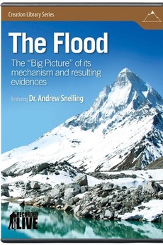 ‎The Flood: The Big Picture of Its Mechanism and Resulting Evidences ...