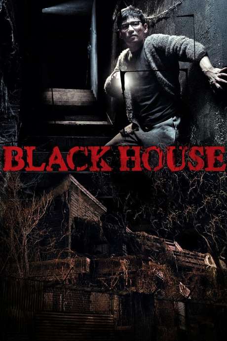 ‎Black House (2007) directed by Terra Shin • Reviews, film + cast ...