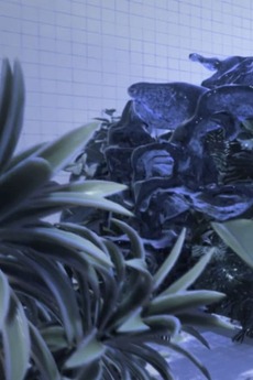 ‎Haruspices (2019) directed by Jonathan Pêpe • Reviews, film + cast ...