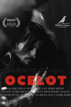 ‎Ocelot (2022) directed by Bernardo De Jeurissen • Film + cast • Letterboxd
