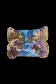 ‎Reflexo (2022) directed by Bruno Basso • Reviews, film + cast • Letterboxd