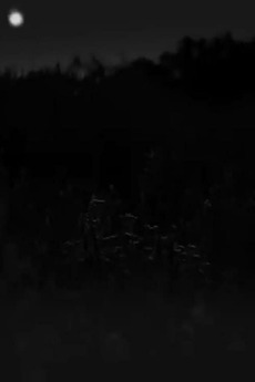 ‎Incomplete (2020) directed by Ryuichi Sakamoto • Reviews, film + cast ...