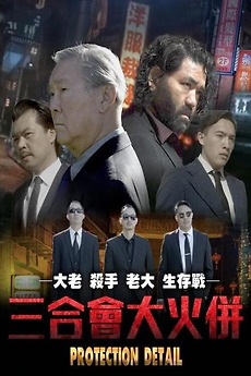 ‎Protection Detail (2022) directed by Michael Fredianelli • Reviews ...
