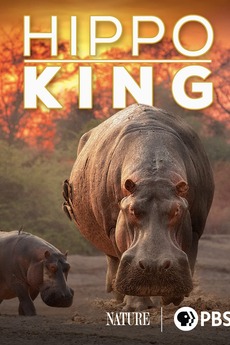 ‎Hippo King (2022) directed by Lianne Steenkamp • Reviews, film + cast ...