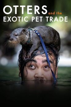 ‎Otters and the Exotic Pet Trade (2019) directed by Will Foster-Grundy ...