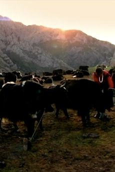 ‎Tsampa (2011) directed by Bari Pearlman • Film + cast • Letterboxd