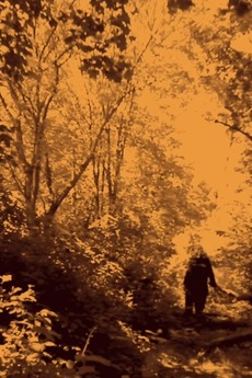 ‎Tuesday Sun (2016) directed by Phil Stevens • Film + cast • Letterboxd