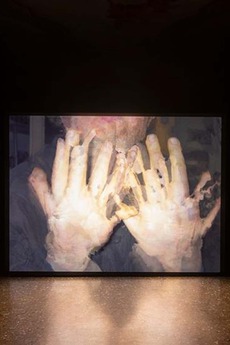 ‎Qualities Of Life: Living in the Radiant Cold (2022) directed by James ...