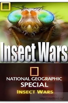 ‎National Geographic Insect Wars • Film + cast • Letterboxd