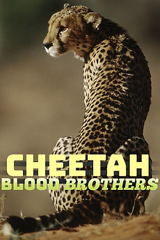 ‎Cheetah Blood Brothers (2007) directed by Bronwyn Watkins • Film ...