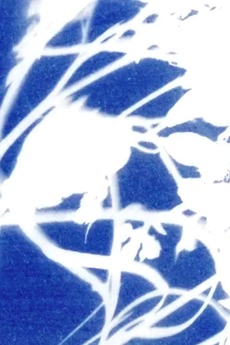 ‎Devour (2022) directed by Kate Raney • Film + cast • Letterboxd