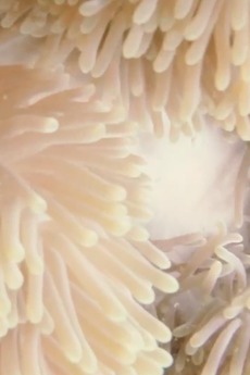 ‎the unraveling of time (2022) directed by Sally Cloninger • Film ...