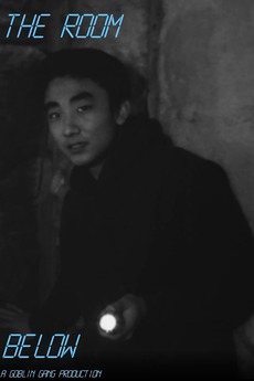 ‎The Room Below (2020) directed by Jason Lu, Rishi Baiju et al ...