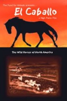 ‎El Caballo: The Wild Horses of North America (2001) directed by Doug ...