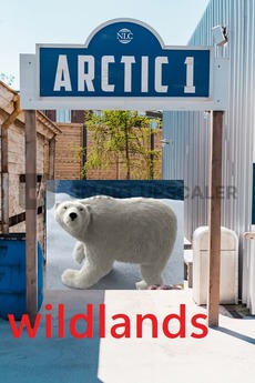 ‎Wildlands: The Arctic One Experience (2022) • Reviews, film + cast ...
