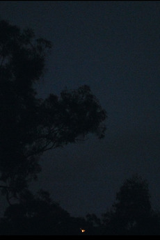 ‎What Andy Never Knew directed by Benjamin Sen • Film + cast • Letterboxd