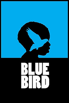 ‎Blue Bird (2011) directed by Gust Van Den Berghe • Reviews, film ...
