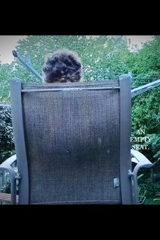 ‎An Empty Seat. directed by Joseph Ratchford • Film + cast • Letterboxd