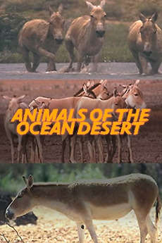 ‎Animals of the Ocean Desert (2001) • Film + cast • Letterboxd