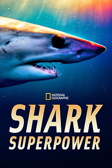 ‎Shark Superpower (2022) directed by Jennie Hammond • Reviews, film ...