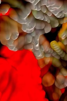 ‎Gubble (2018) directed by Andrew Benson • Film + cast • Letterboxd