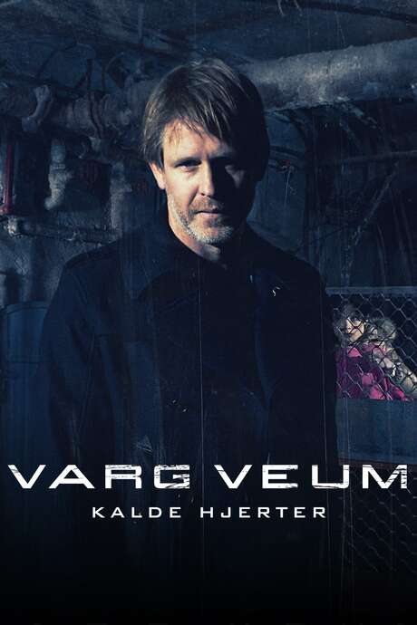 ‎Varg Veum - Cold Hearts (2012) directed by Trond Espen Seim • Reviews ...