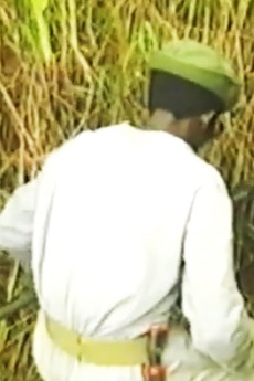 ‎The Sun Still Shines (1995) directed by Mariano Bartolomeu • Film ...