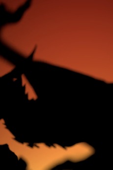 ‎Whoa, Hoo-ah, Huh! (2018) directed by Paul Spengemann • Film + cast • Letterboxd