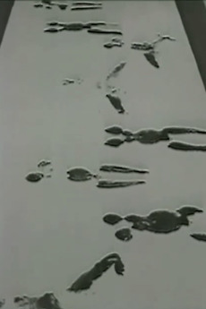 ‎Anthropometries of the Blue Period and Fire Paintings (1960) directed ...