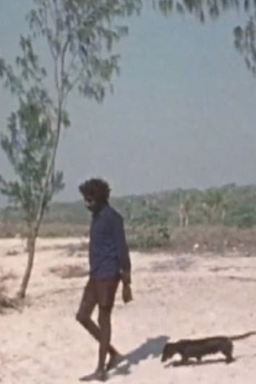‎Madarrpa Funeral at Gurka’wuy (1979) directed by Ian Dunlop • Reviews ...
