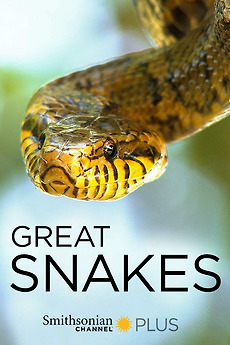 ‎Great Snakes (2016) • Film + cast • Letterboxd