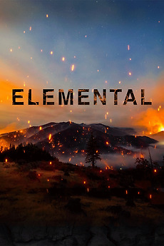 ‎Elemental (2022) directed by Trip Jennings • Reviews, film + cast ...