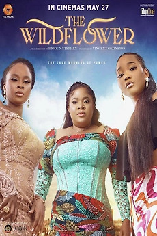 ‎The Wildflower (2022) directed by Biodun Stephen • Reviews, film ...