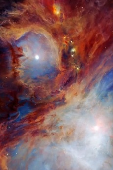 ‎Emergence (2019) • Reviews, film + cast • Letterboxd