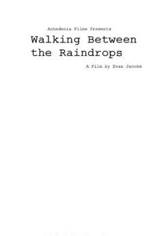 ‎Walking Between The Raindrops (1995) directed by Evan Jacobs • Reviews ...
