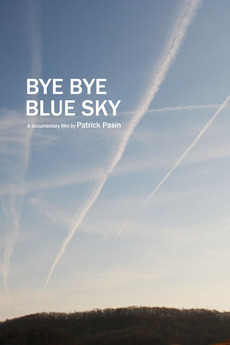 ‎Bye Bye Blue Sky (2011) directed by Patrick Pasin • Reviews, film ...